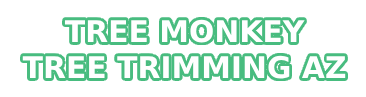 Tree Monkey Tree Trimming AZ is a Tree Company in Tucson, AZ 85713